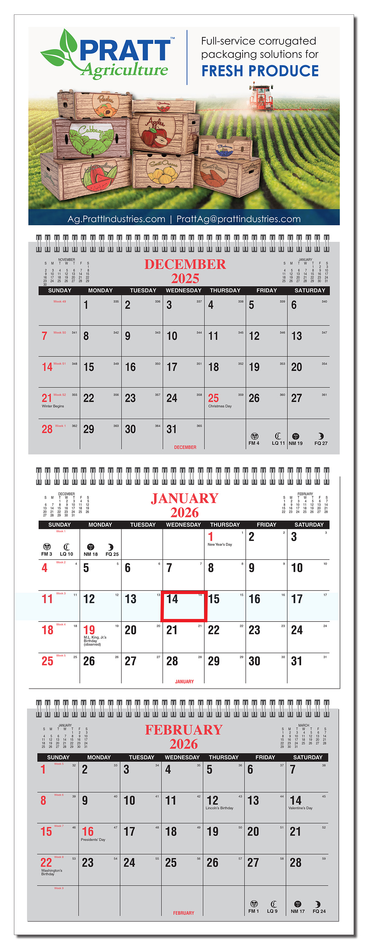 Custom 3 Month Calendar Printable 2024 Fully Editable Monthly Calendar